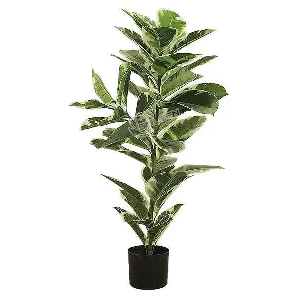 95CM Faux Ficus Elastica - Sinleen Artificial Plants