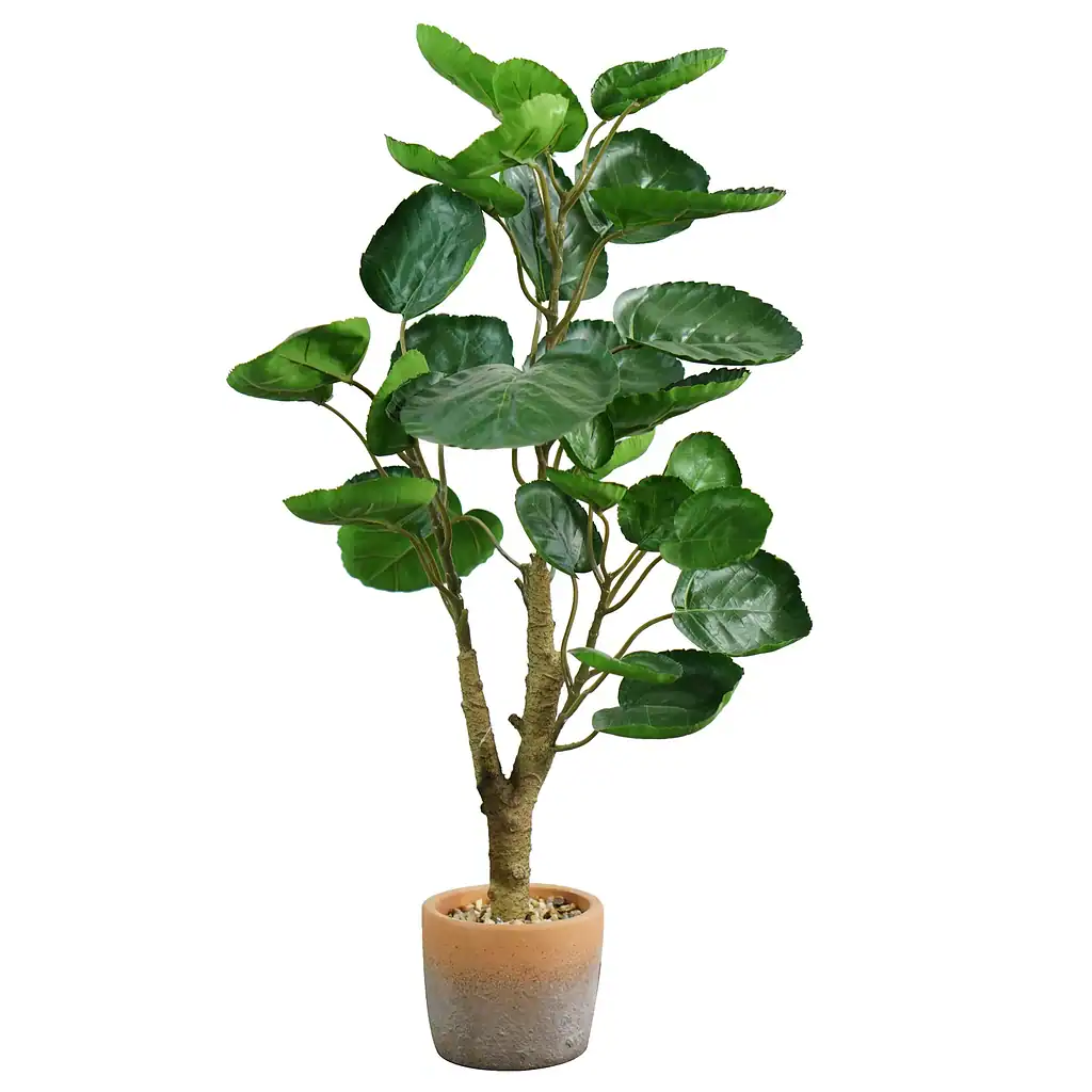 70cm Artificial Aralia Fabian Plant - Sinleen Plants