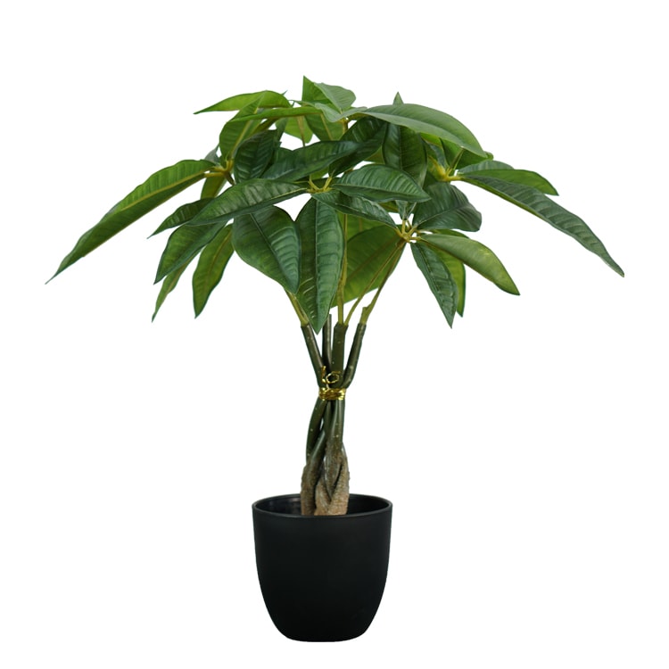 Artificial Money Tree Plant - Sinleen