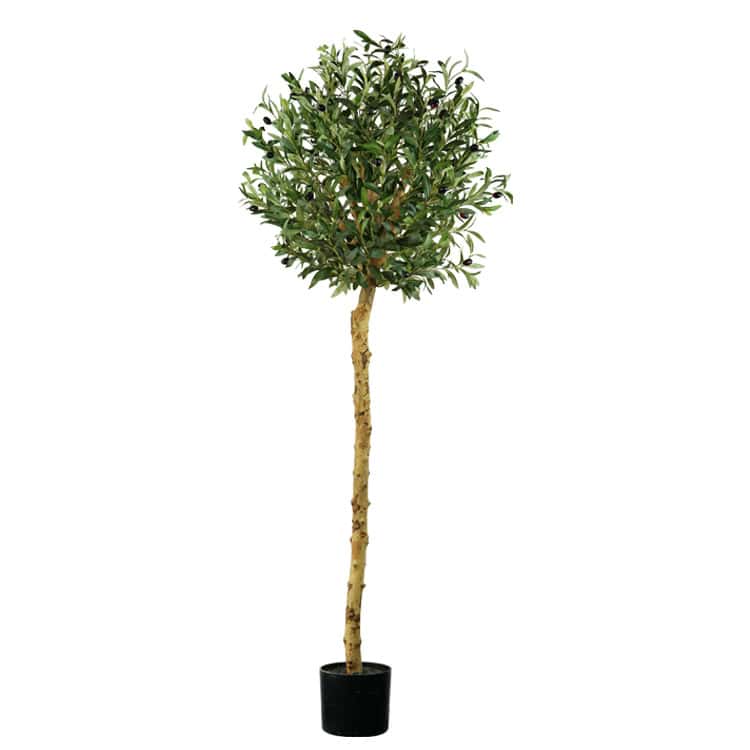 Faux Olive Topiary Tree 160cm - Sinleen Artificial Plants