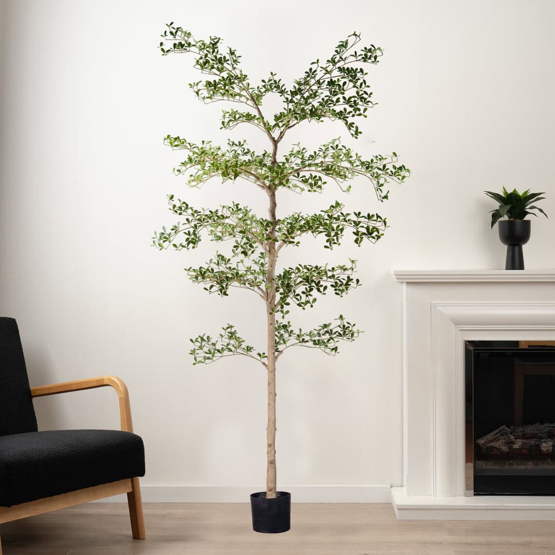 Faux Shady Lady Black Olive Tree VS Faux Olive Tree