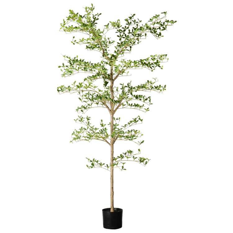Wholesale New Faux Shady Lady Olive Tree 180cm | K/D